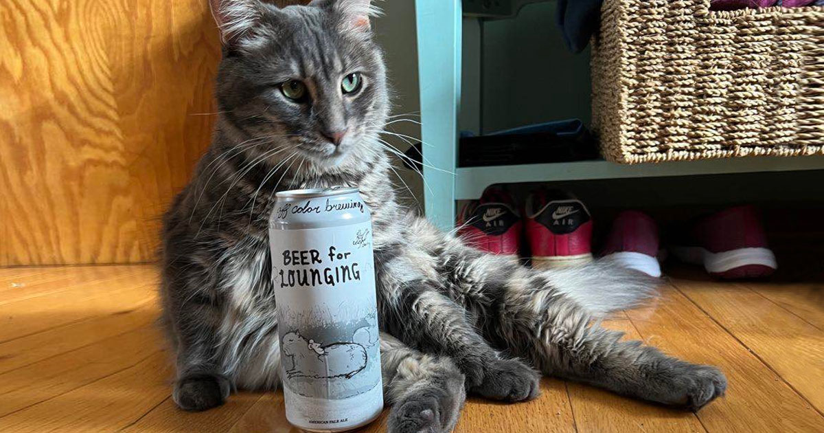 Off Color Brewing | Beer for Lounging Pale Ale - PorchDrinking